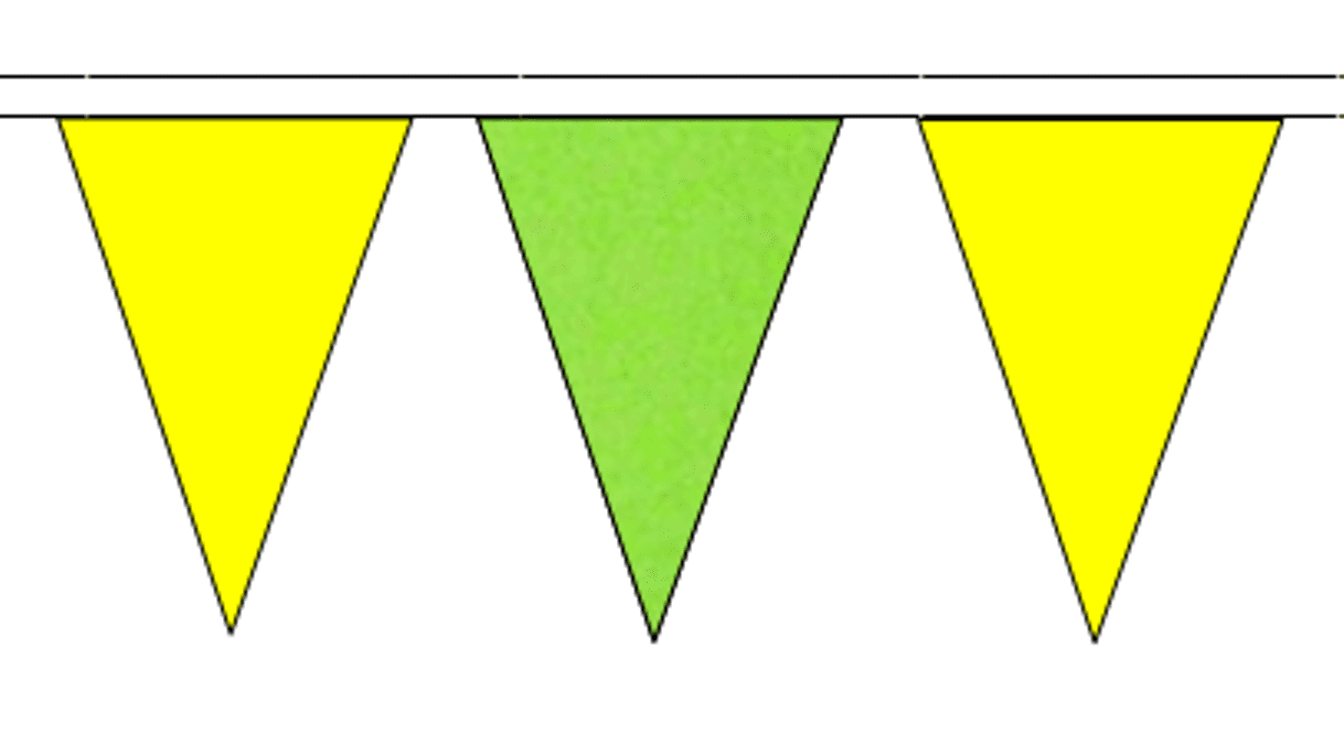 Green and Yellow Traditional 20m 54 Flag Polyester Triangle Flag Bunting