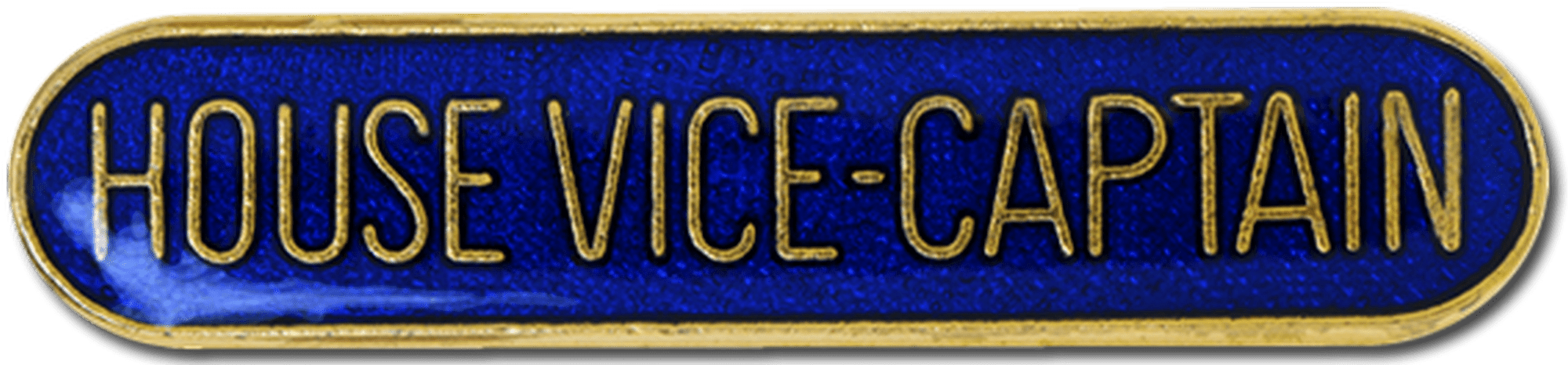House Vice-Captain Rounded Bar Blue Pin Badge