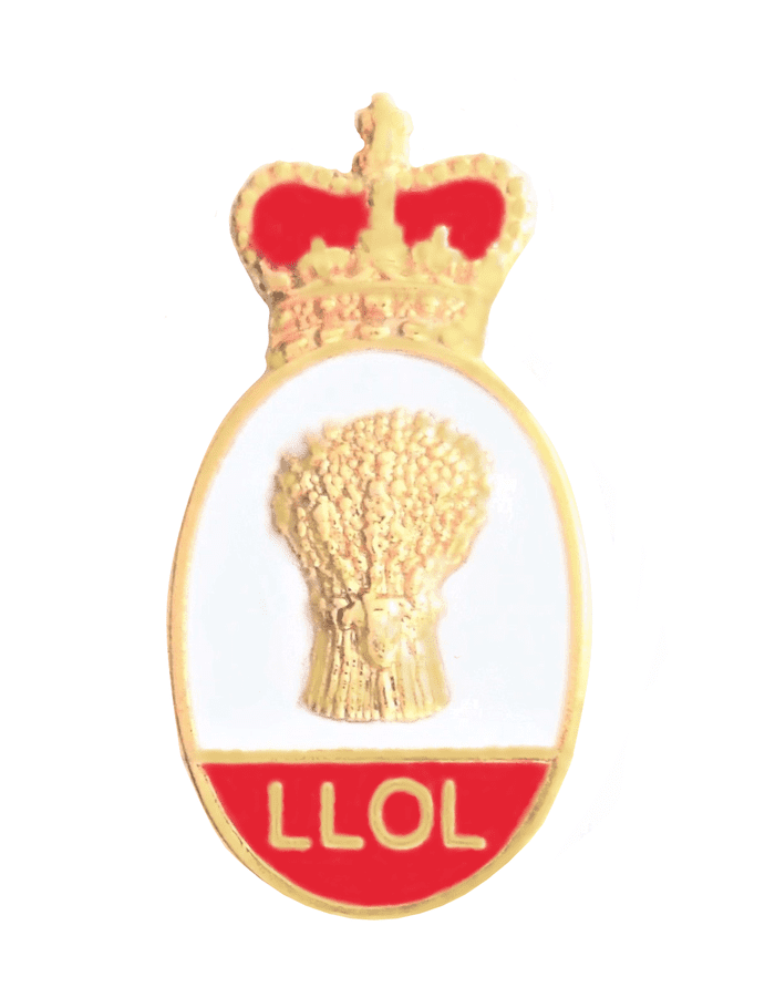 Ladies Loyal Orange Lodge LLOL Wheatsheaf Orange Order Pin Badge