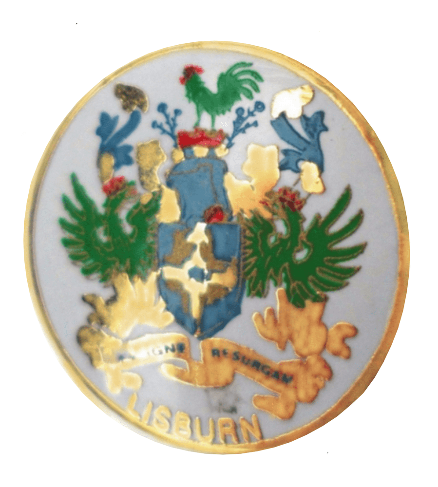 Lisburn Circle Pin Badge