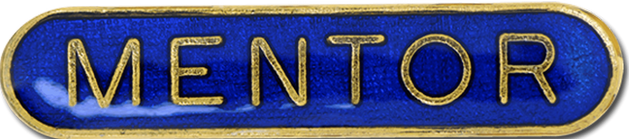 Mentor Rounded Bar Blue Pin Badge