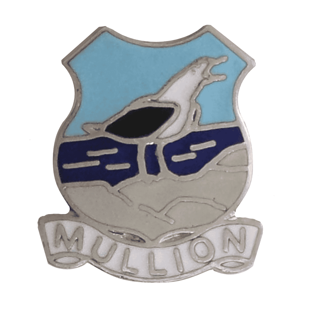 Mullion Pin Badge
