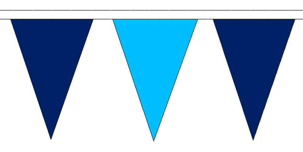 Blue triangle flag store