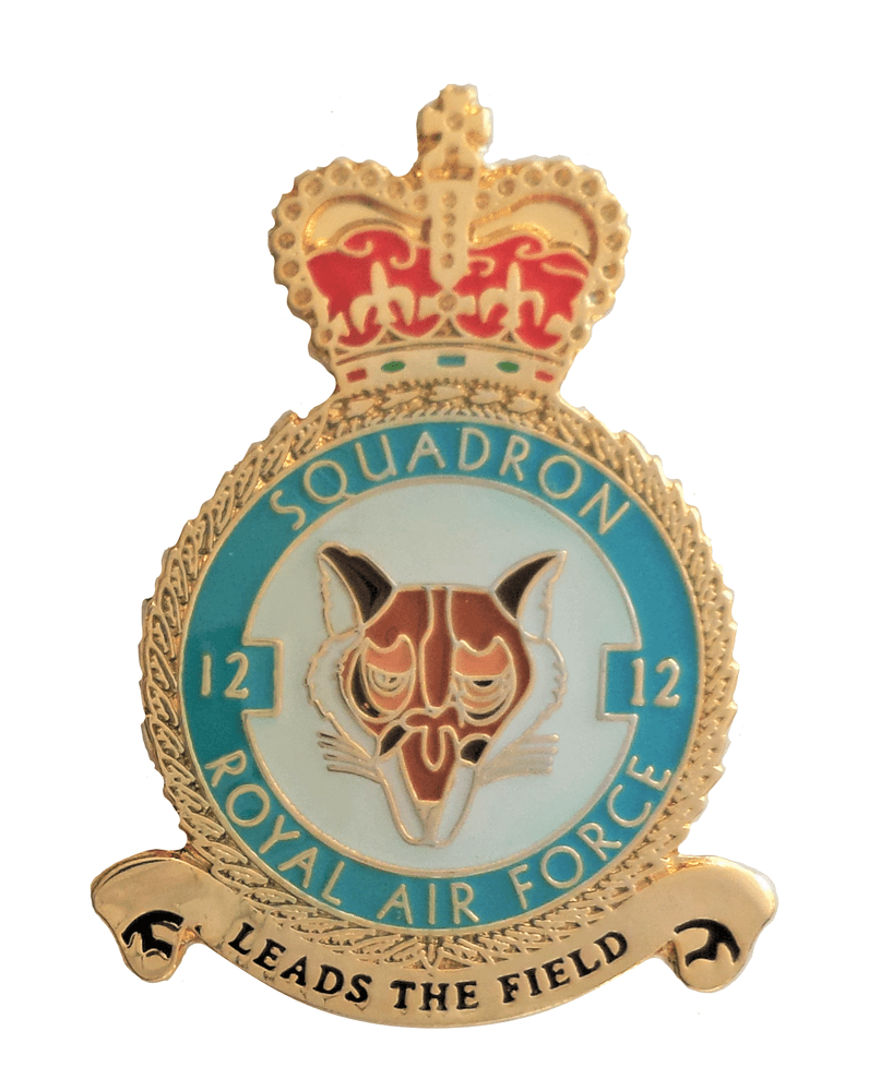 No 12 B Squadron Royal Air Force RAF Pin Badge - MOD Approved - PNC4585