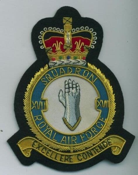 No 17 Squadron Royal Air Force RAF GOLD WIRED Blazer Embroidered Badge