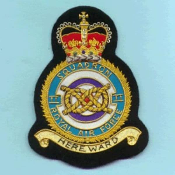 No 2 Squadron Royal Air Force RAF GOLD WIRED Blazer Embroidered Badge