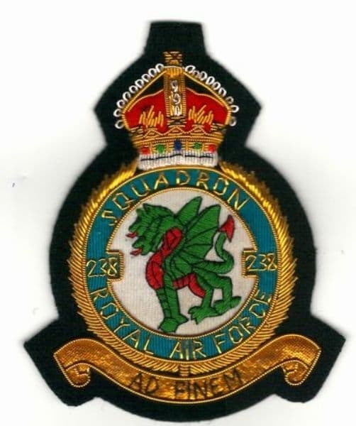 No 238 Squadron Royal Air Force RAF GOLD WIRED Blazer Embroidered Badge