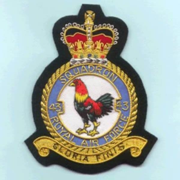 No 43 Squadron Royal Air Force RAF GOLD WIRED Blazer Embroidered Badge