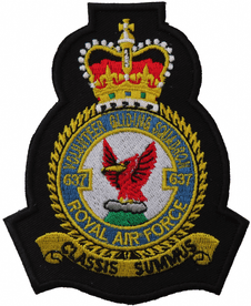 VOLUNTEER GLIDING SQUADRONS VGS