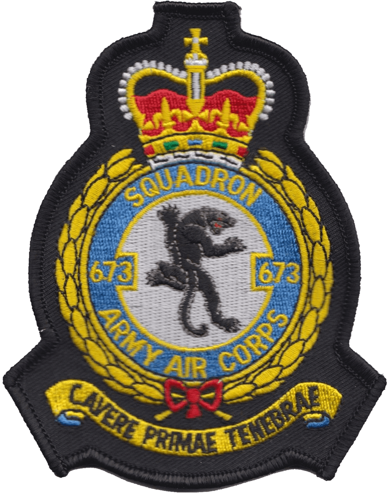 No 673 Training Squadron British Army Air Corps AAC Crest MOD ...