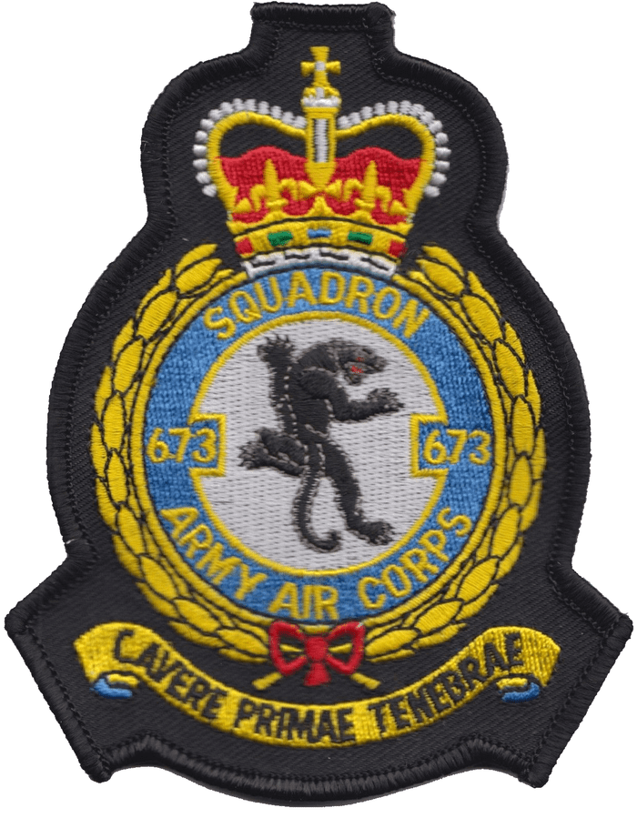 No 673 Training Squadron British Army Air Corps AAC Crest MOD ...