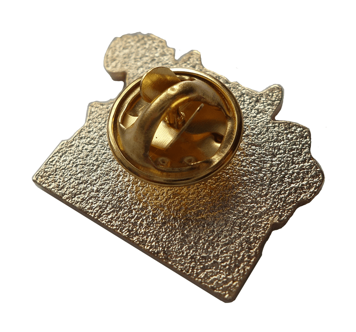 Northern Ireland Former Coat of Arms Pin Badge