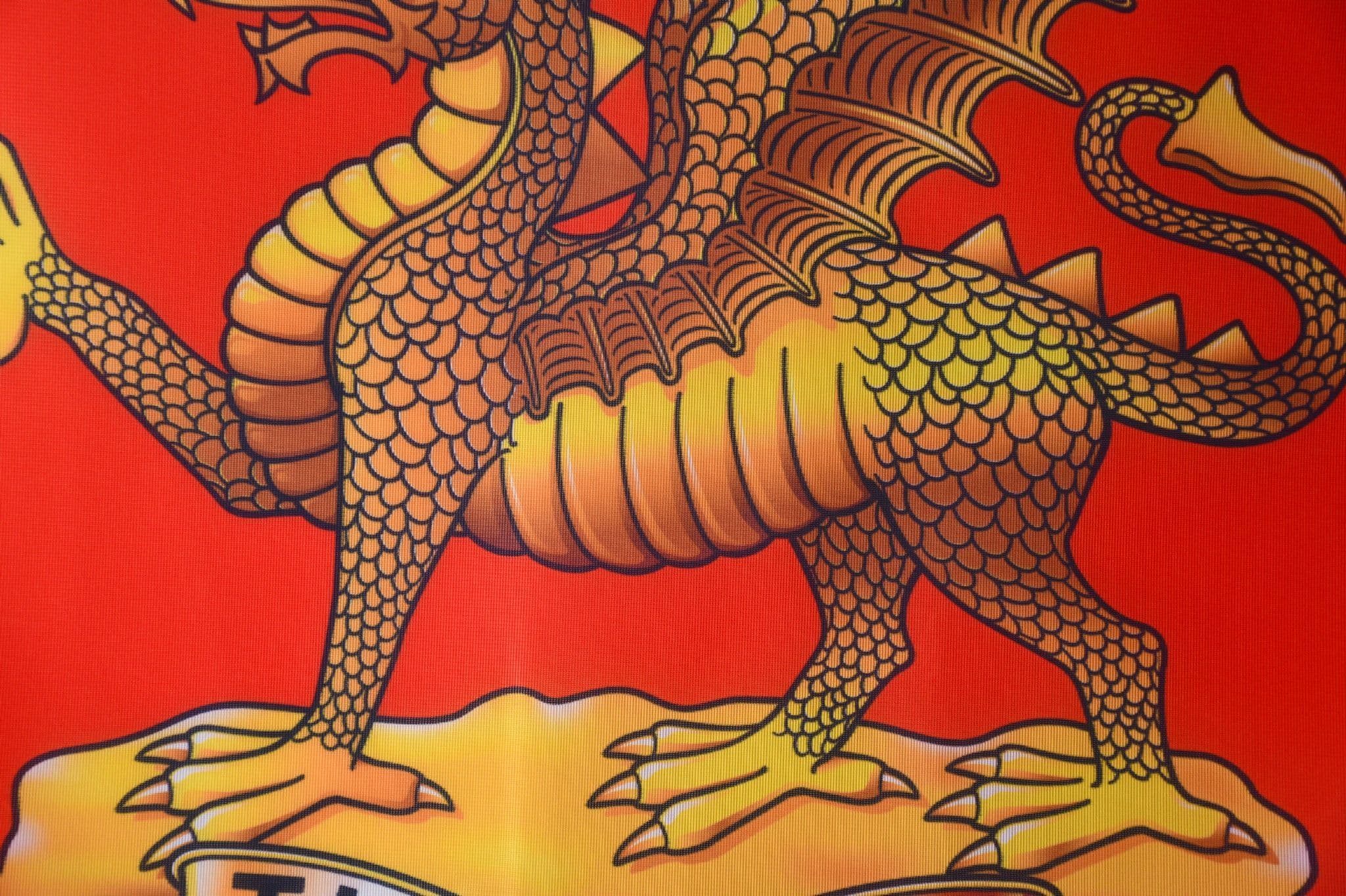 Prince of Wales Royal Regiment The Buffs British Army Flag with Eyelets