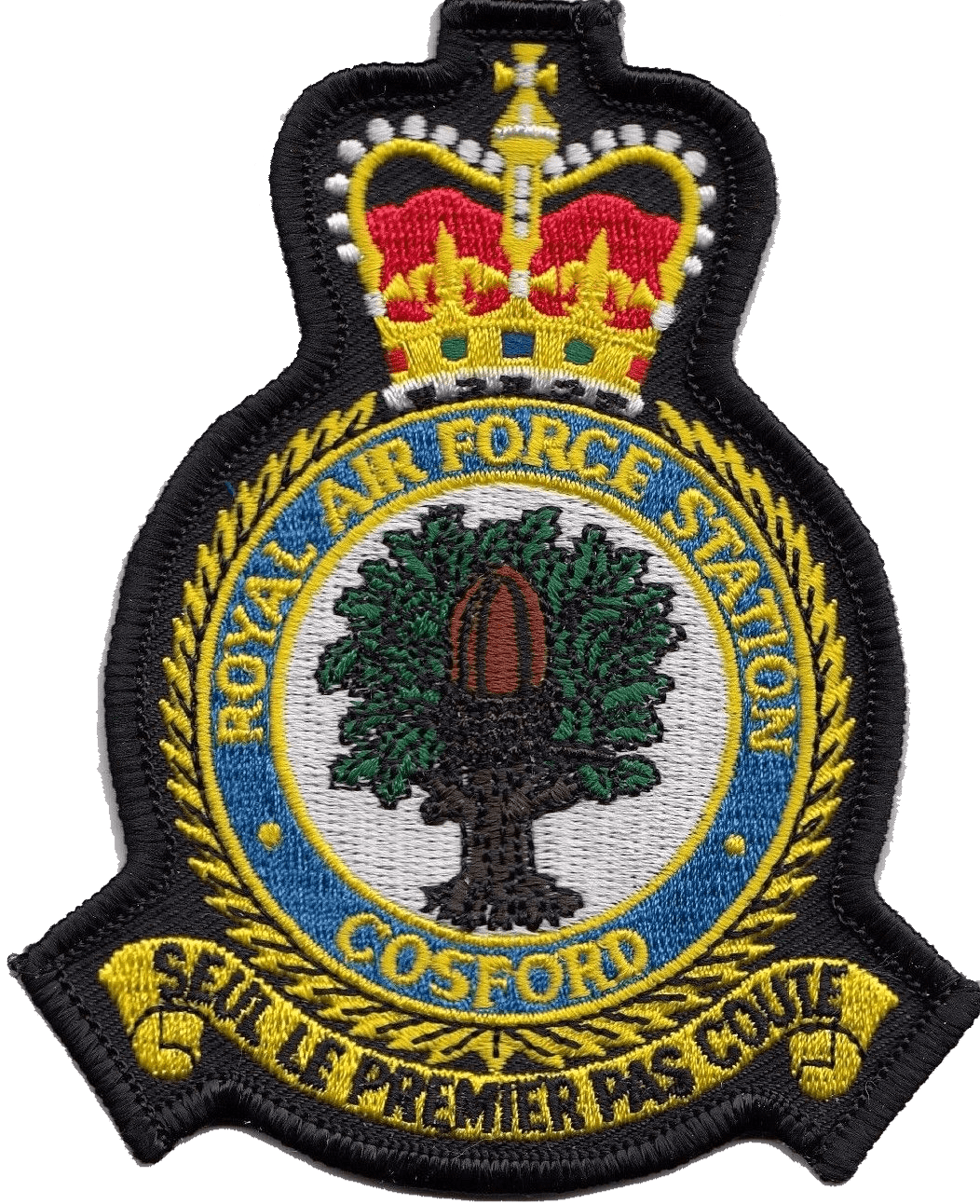 Raf Cosford Logo