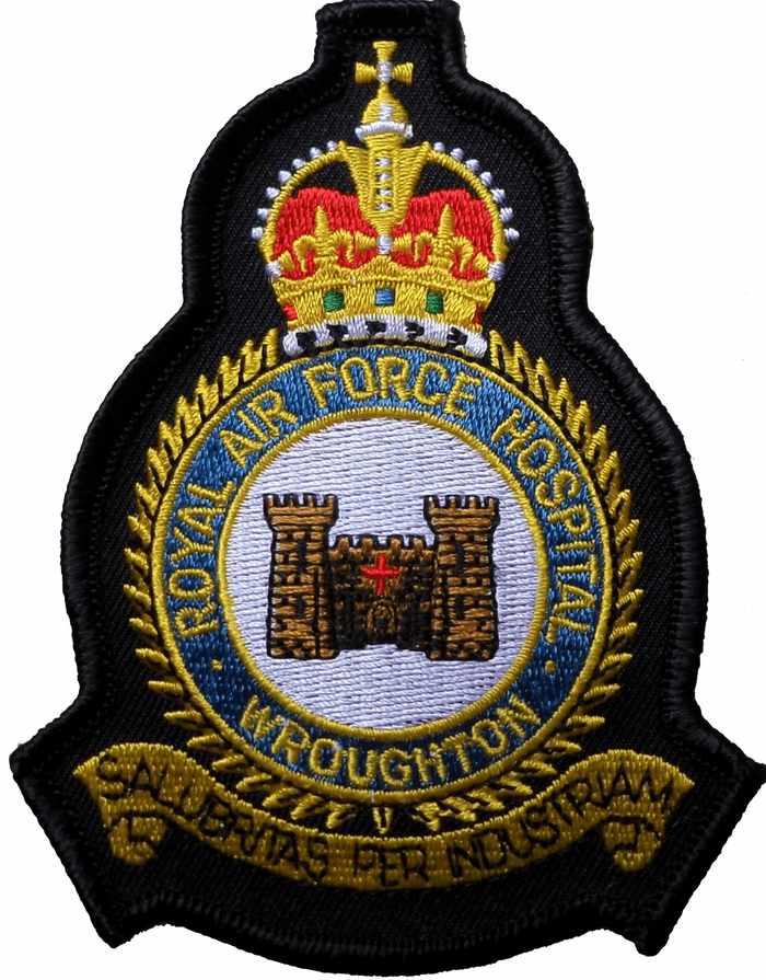 RAF Hospital Wroughton Royal Air Force MOD Crest Embroidered Patch