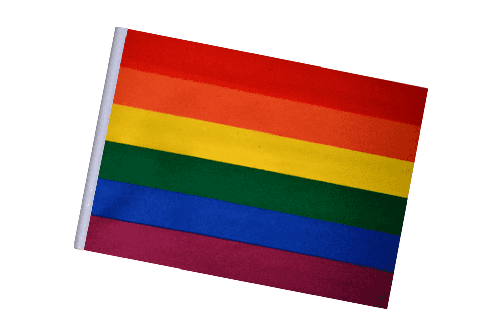 Rainbow Medium Small Craft Flag