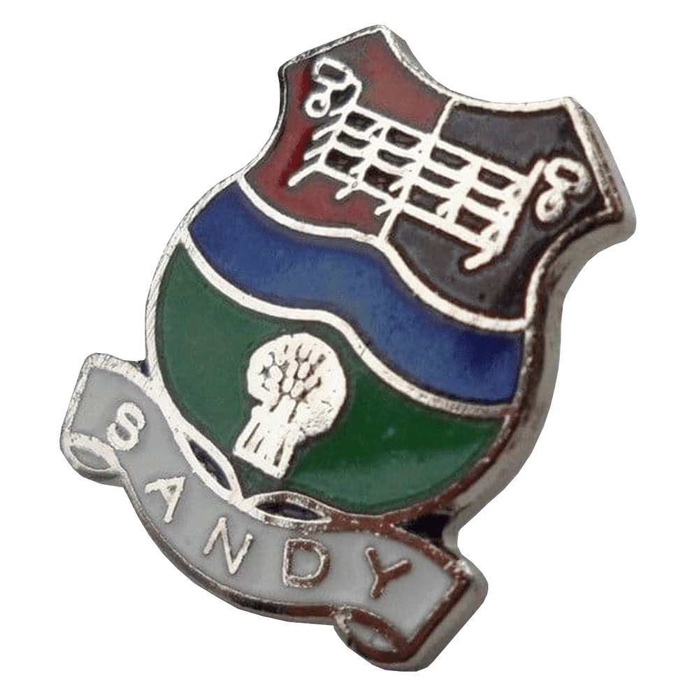 Sandy Town Pin Badge
