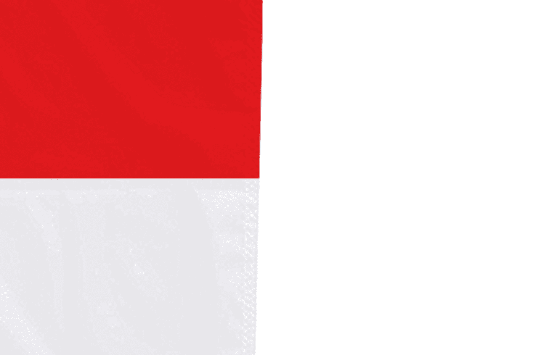 Singapore Flag with Eyelets