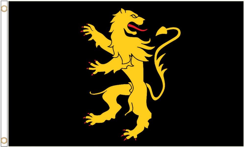 Sir Ceredigion Polyester 5 x3 Flag