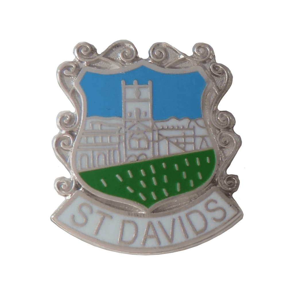 St Davids City Cathedral Pin Badge