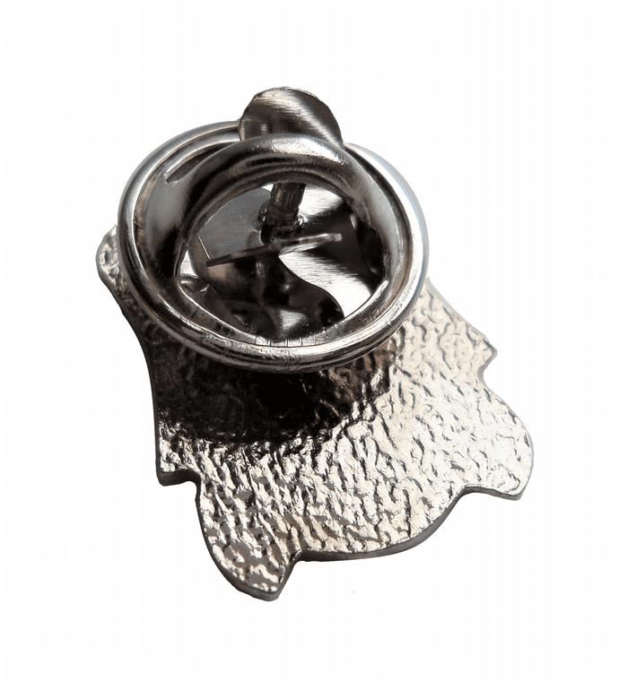 Sussex County Cricket Club CCC Pin Badge