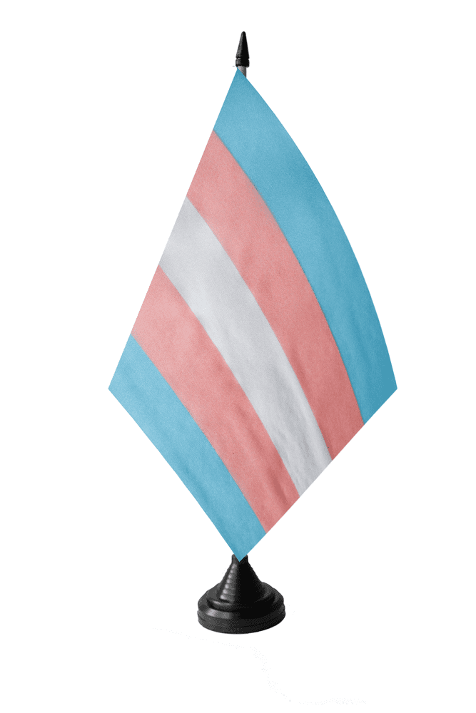 Transgender Pride Medium Table Flag