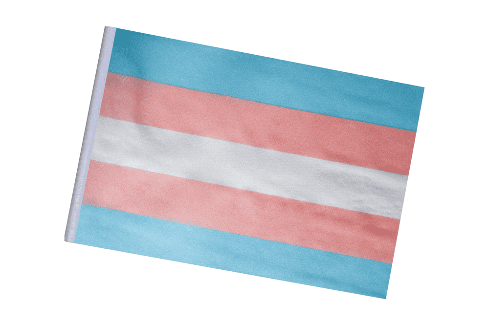 Transgender Pride Small Craft Flag