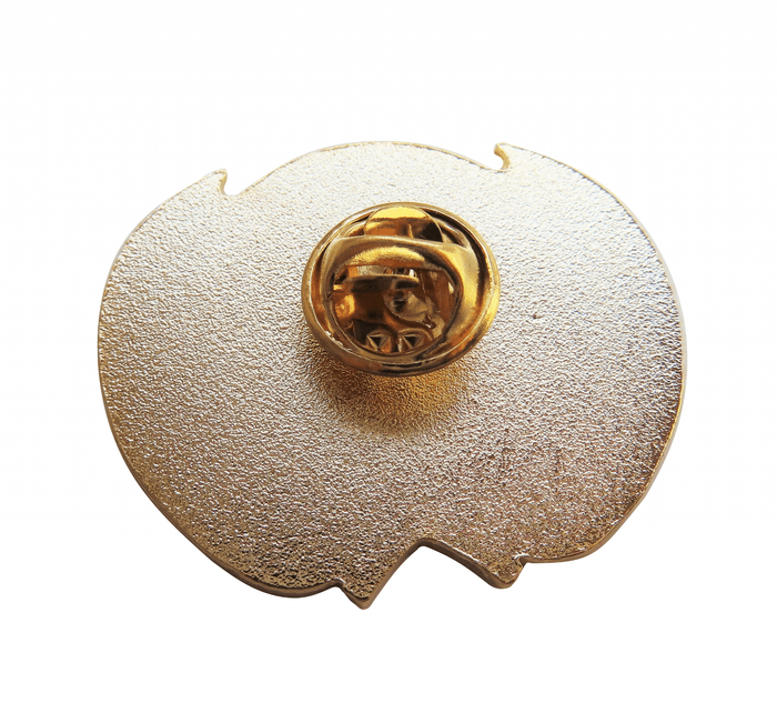 United Nations UN Flag Emblem Pin Badge