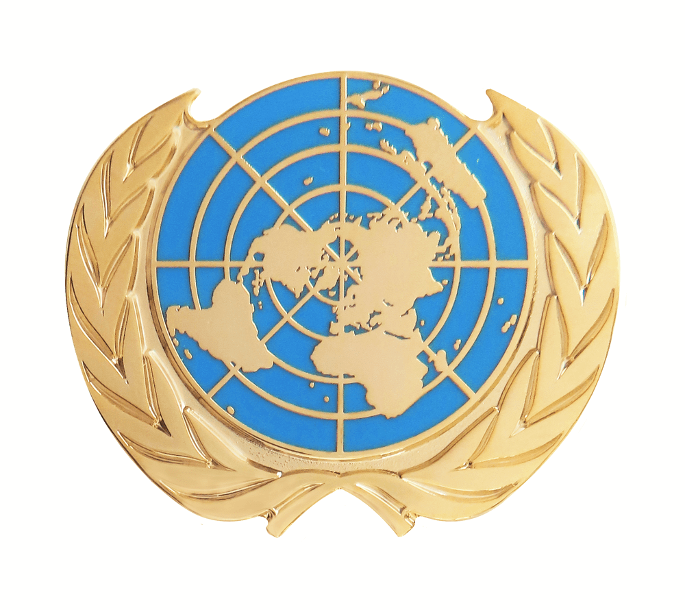 United Nations UN Flag Emblem Pin Badge