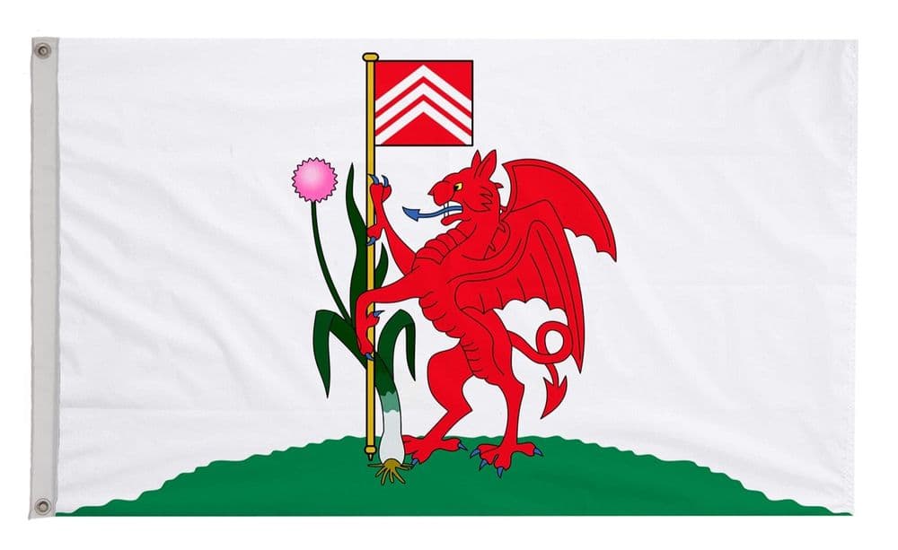Wales Capital City Cardiff Flag with Eyelets
