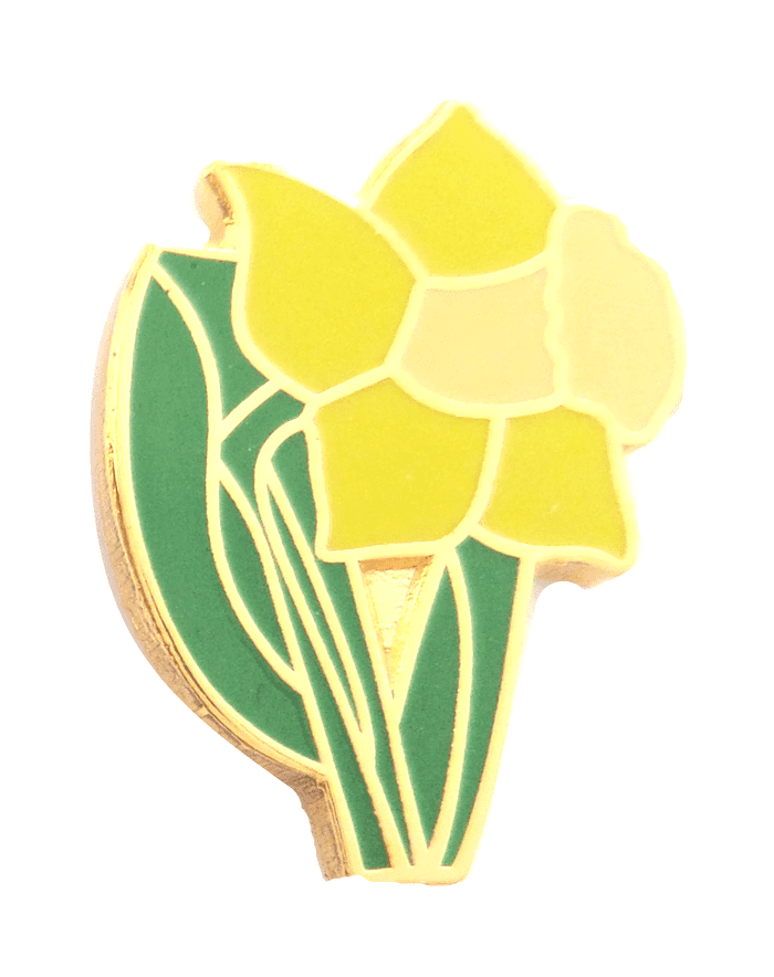 Wales Daffodil St David s Day Pin Badge