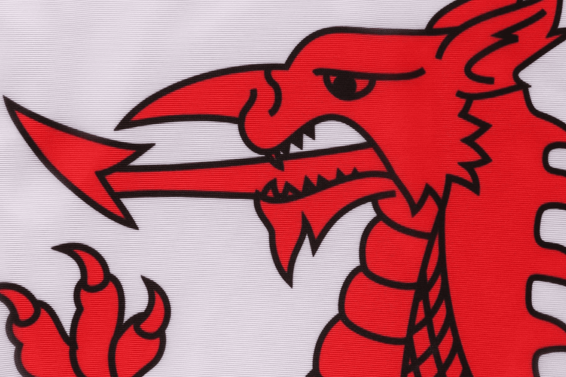 Wales Flag with Eyelets