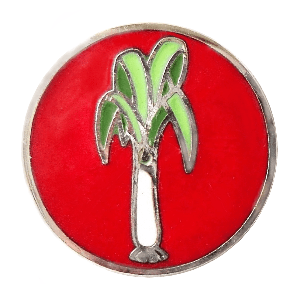 Wales Leek Round Pin Badge