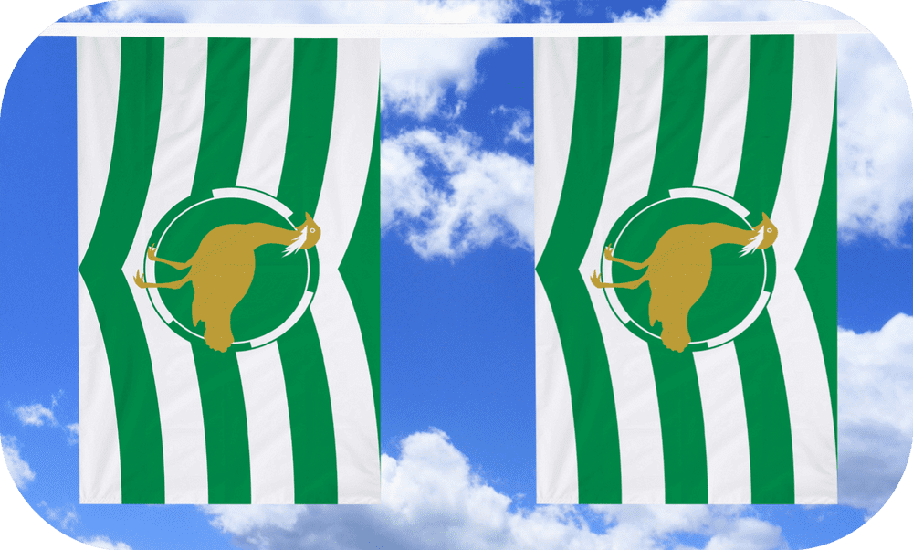 Wiltshire Flag Bunting - GIANT