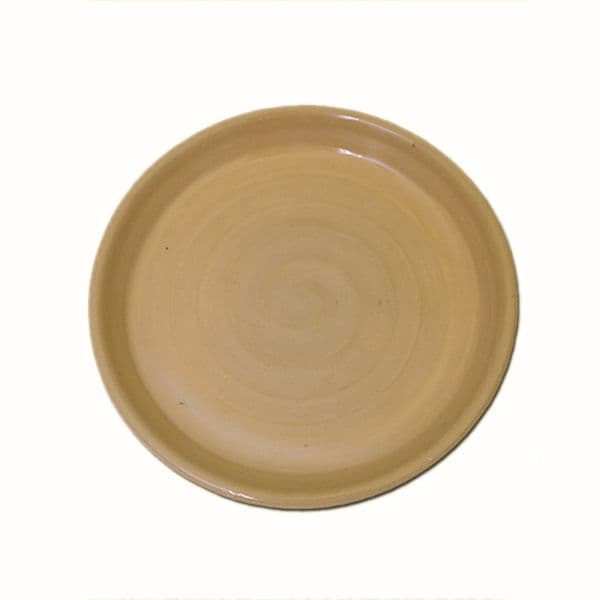 High Medieval Dinner Plate