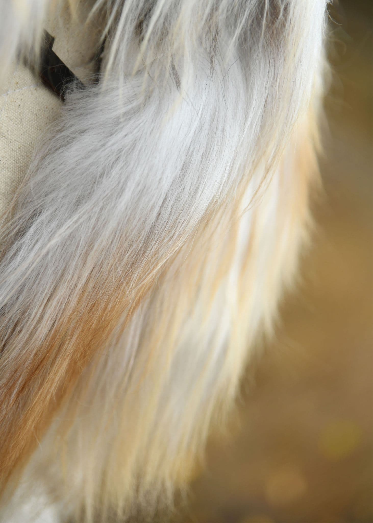 Shoulder Fur -Nordic Sheepskin- White Mottled