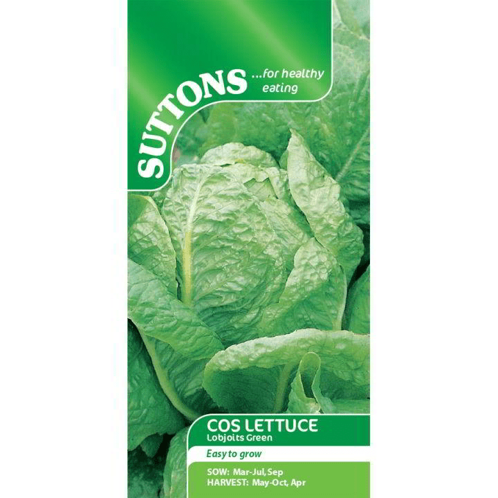 Suttons Cos Lettuce Seeds Lobjoits Green