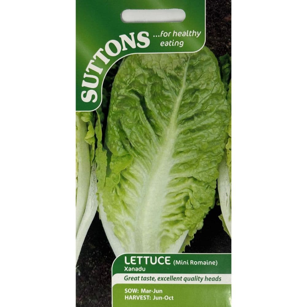 Suttons Lettuce Seeds Xanadu