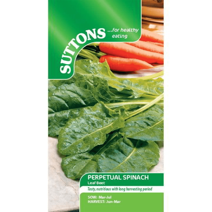 Suttons Perpetual Spinach Seeds Leaf Beet