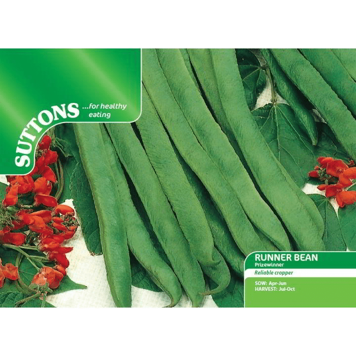 Suttons Runner Bean Seeds Prizewinner