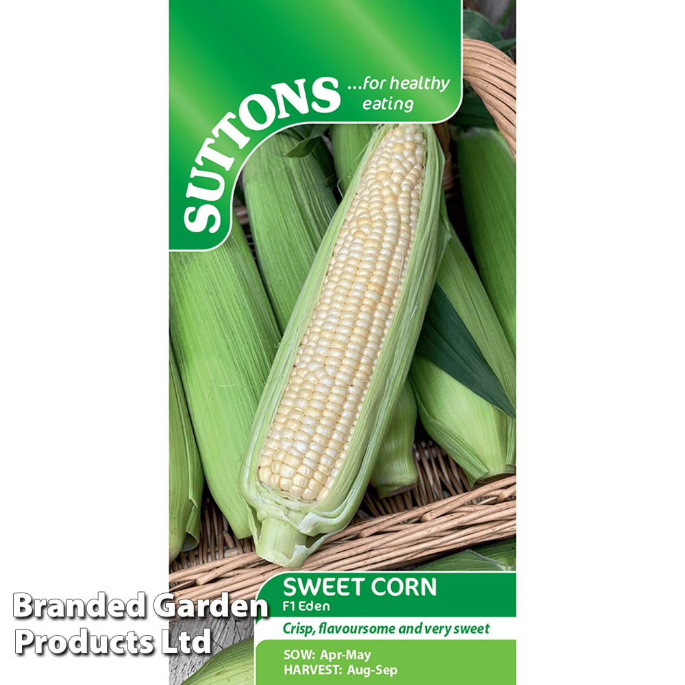 Suttons Sweetcorn Seeds F1 Eden