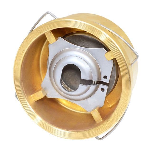 Bronze Wafer Spring Check Valve