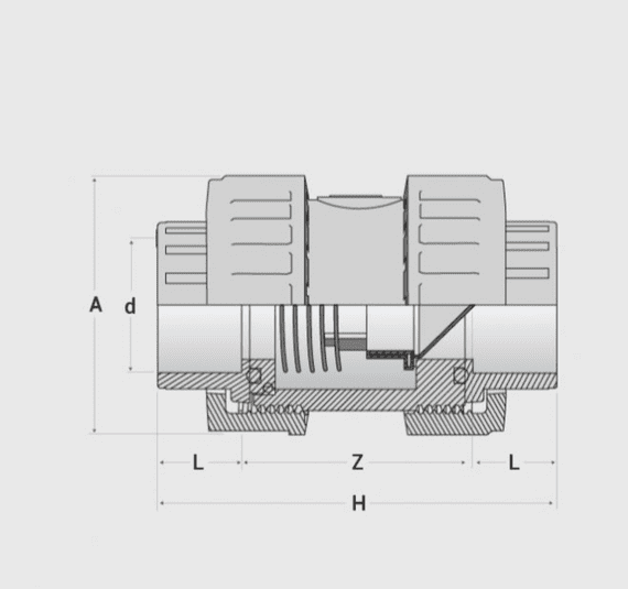 C-PVC Spring Check Valve