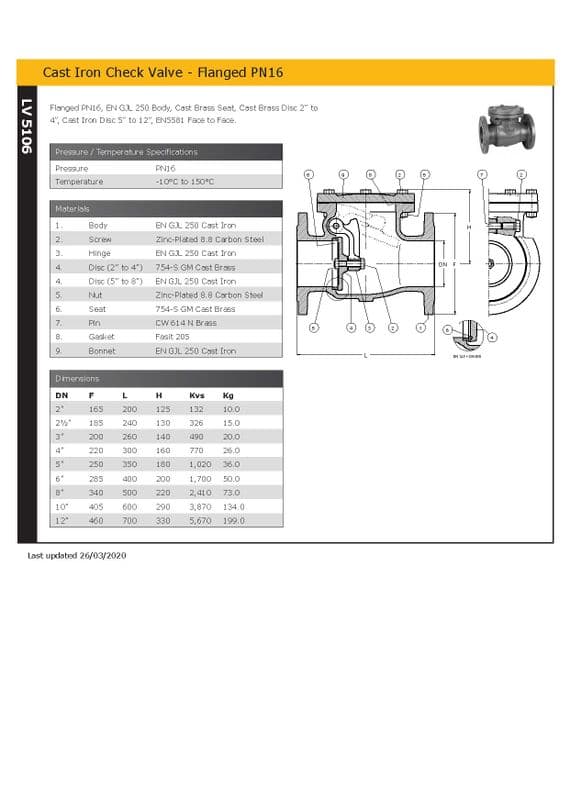 Cast Iron Check Valve Flanged PN16