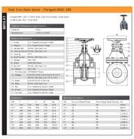 Cast Iron Gate Valve Flanged ANSI 150