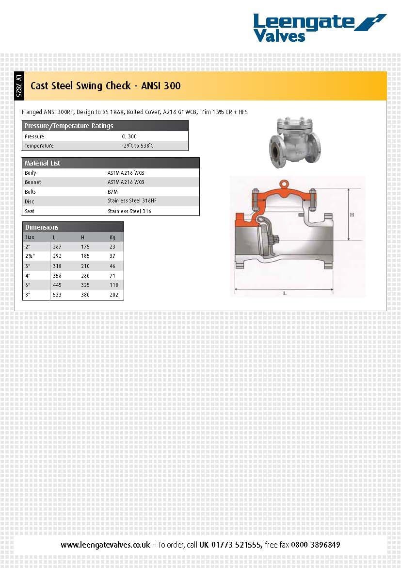 Cast Steel Swing Check Valve Flanged ANSI 300