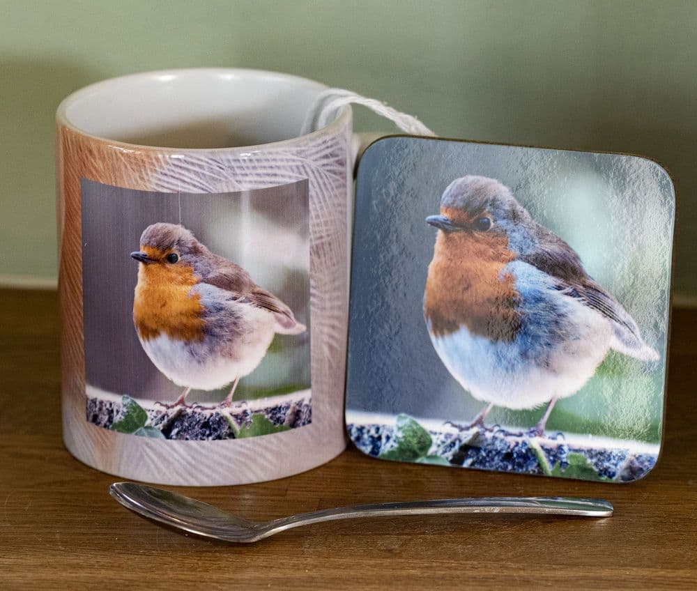 Robin Ceramic Mug and Matching Coaster