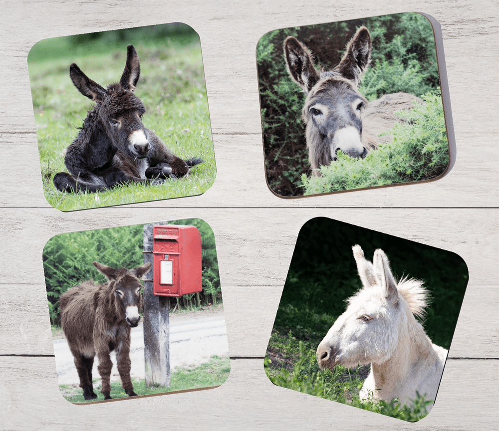 Set of Four Donkey Coasters