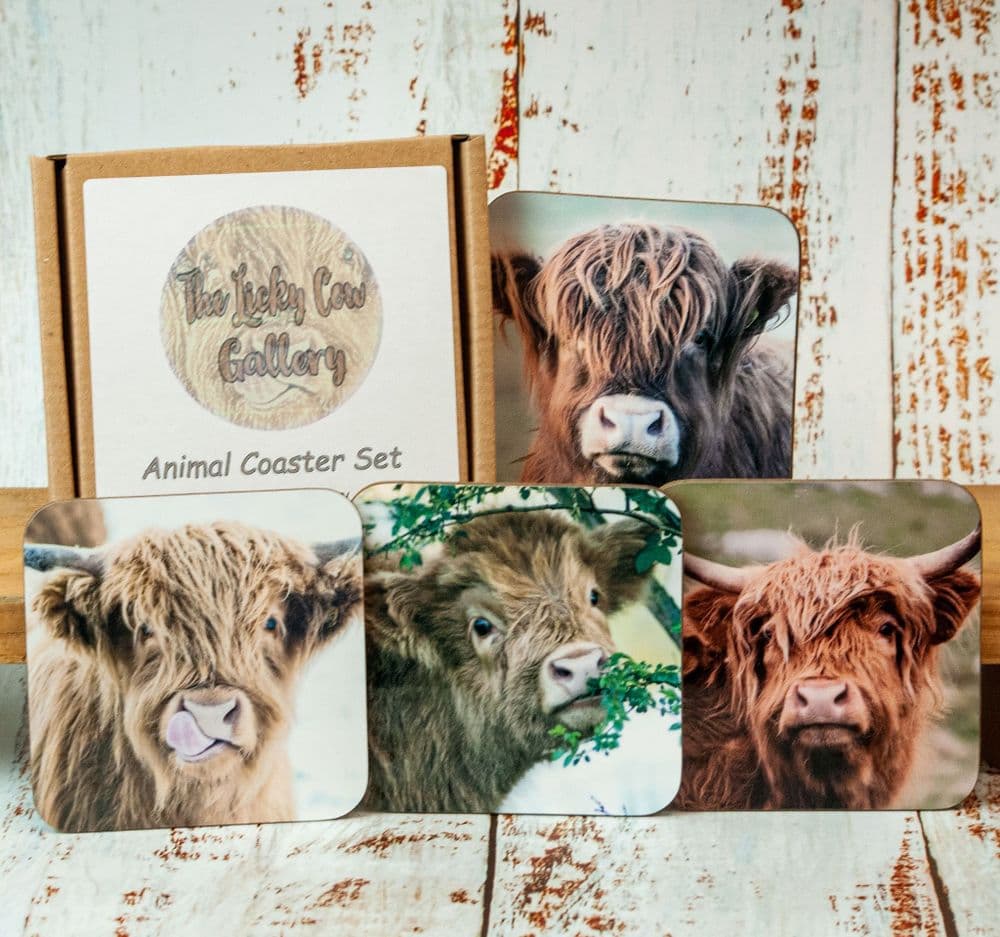 Set of Four Highland Cow Coasters