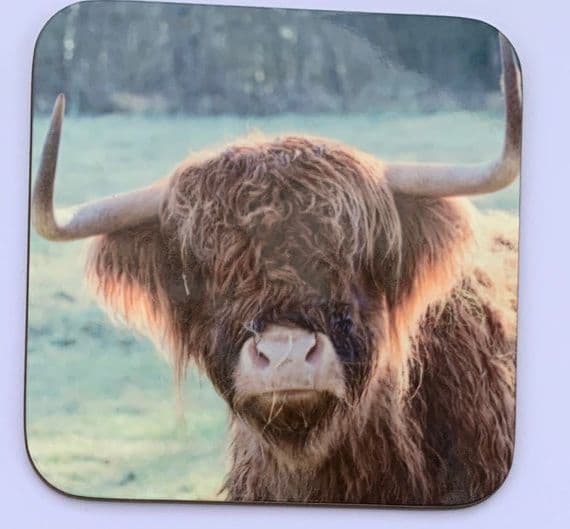 Set of Six Highland Cow Coasters